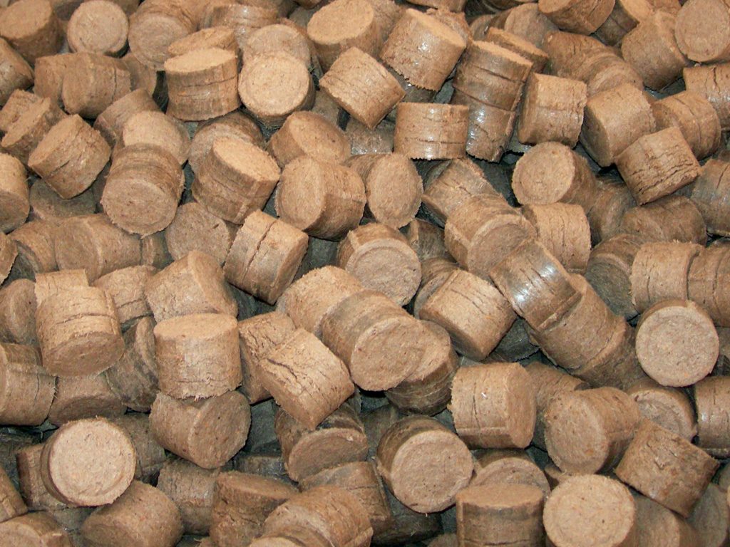 Como montar uma fábrica de Briquetes: 8 Dicas de sucesso