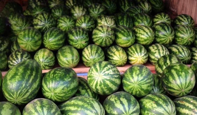 Como vender melancia na rua? Veja quanto dá de lucro por dia