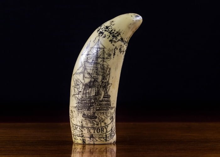 POR QUE o marfim é um material tão VALORIZADO?